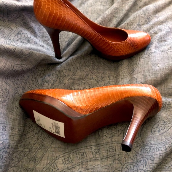 Lauren Ralph Lauren | Shoes | Brand New Pair Of Ralph Lauren Snake ...